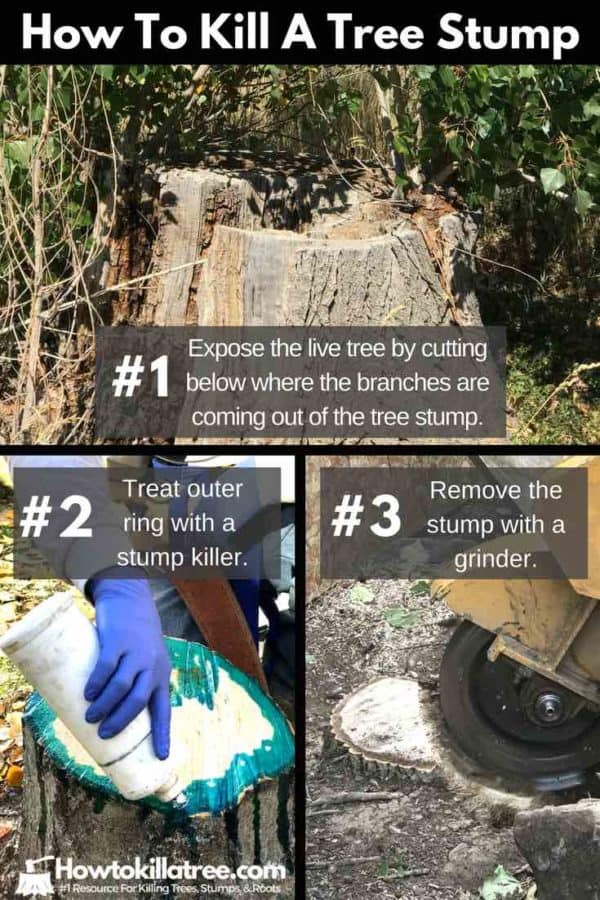 How To Kill A Tree Stump – BACKYARDABLES