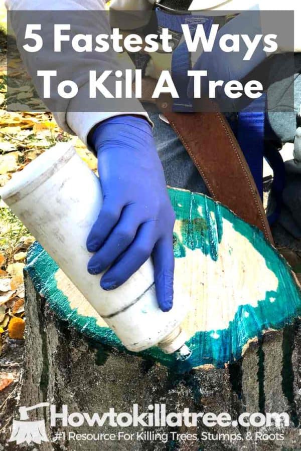 What Kills Trees Quickly 5 Best Ways BACKYARDABLES What Kills Trees Quickly 5 Best Ways BACKYARDABLES
