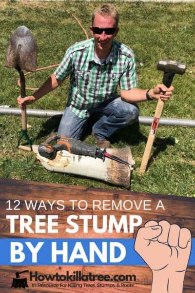 12 Ways To Remove A Tree Stump By Hand – BACKYARDABLES