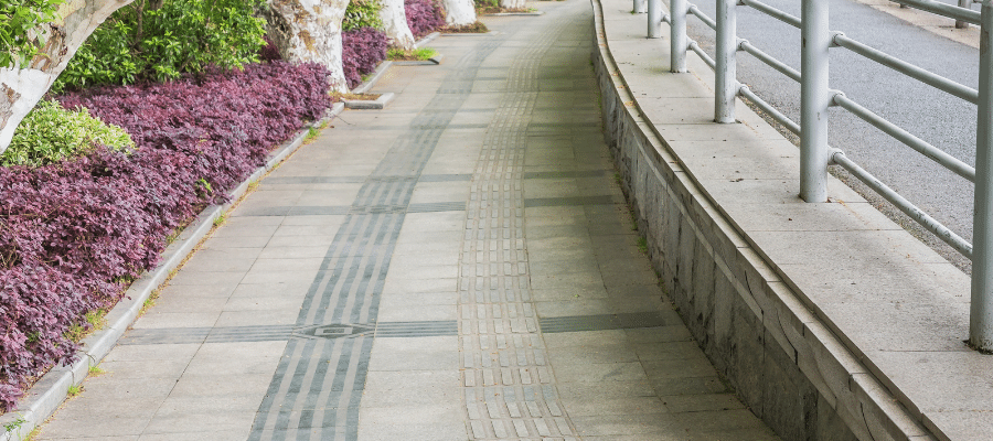 Can You Pour Concrete Around a Tree? – BACKYARDABLES