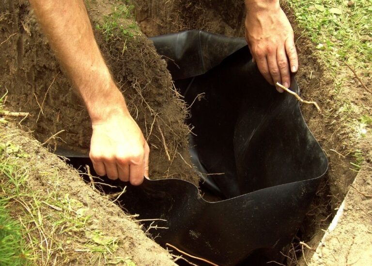 How Do You Get Rid of Tree Roots Under Concrete? – BACKYARDABLES