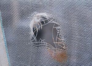 How to Fix a Broken Trampoline Net – BACKYARDABLES