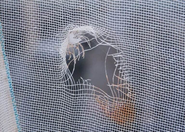 How to Fix a Broken Trampoline Net – BACKYARDABLES